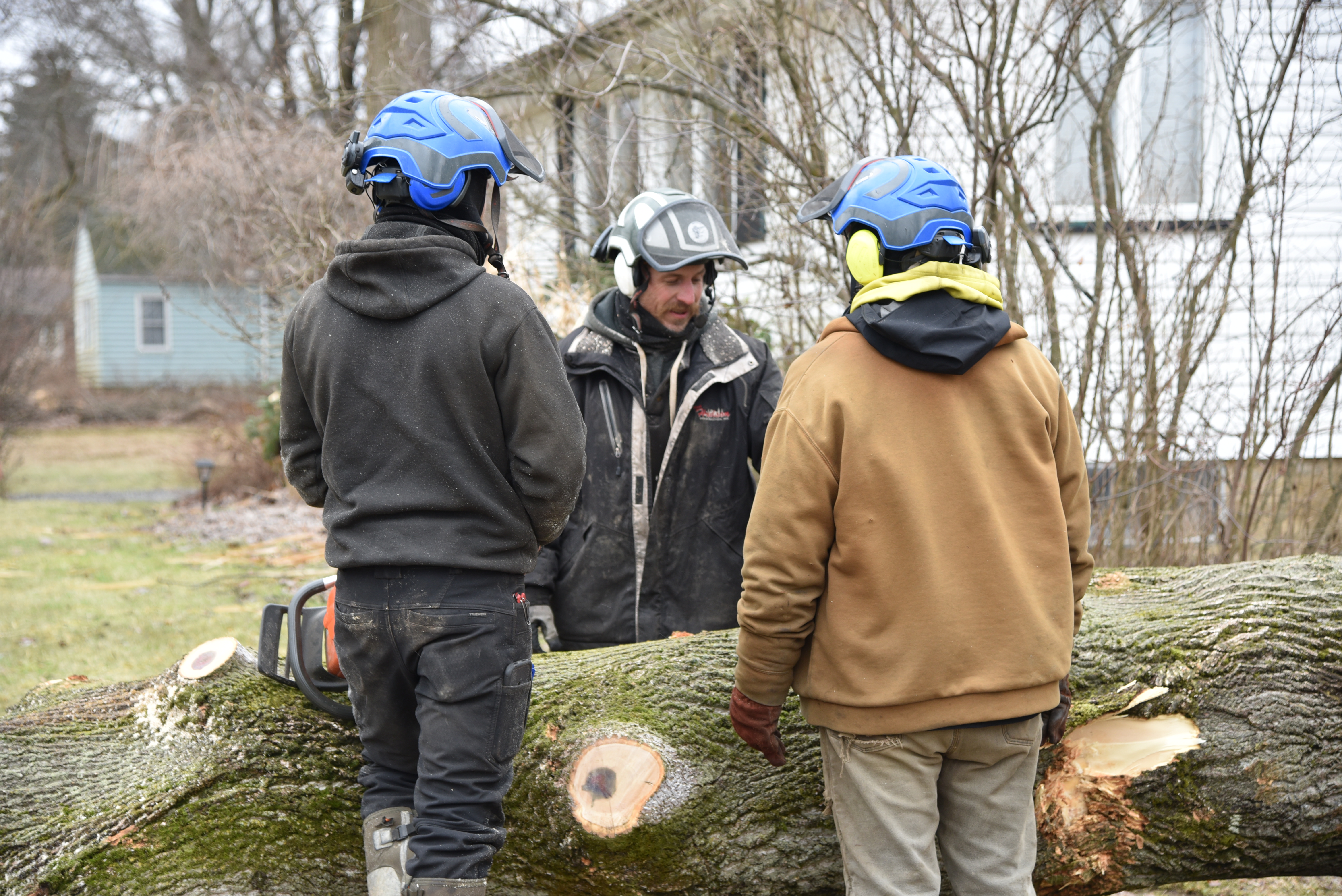 Brubaker Tree Service, LLC – Tree trimming & removal