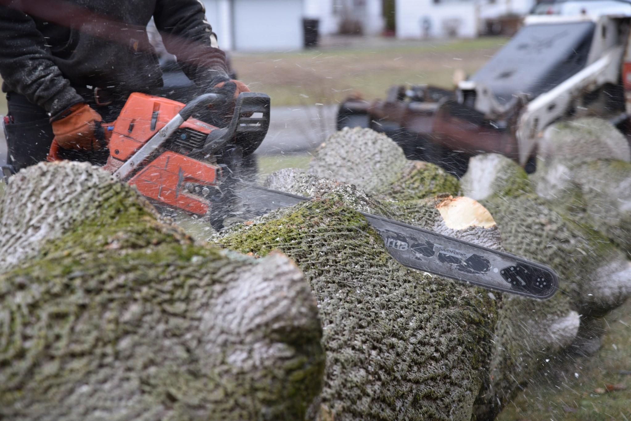Brubaker Tree Service, LLC – Tree trimming & removal